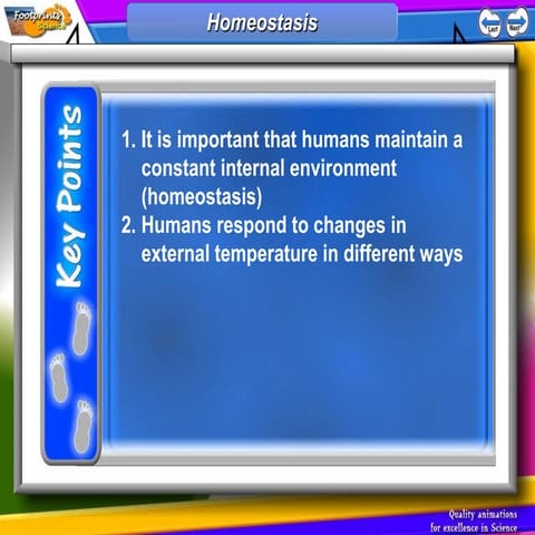 Homeostasis | PPT