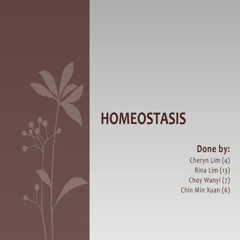 Homeostasis (Biology Project) | PPTX