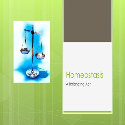 Homeostasis: A Balancing Act | PPTX