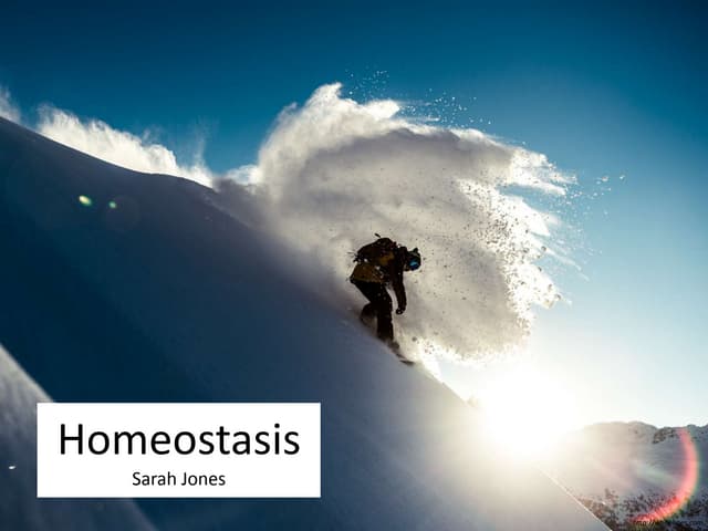 Homeostasis | PPT