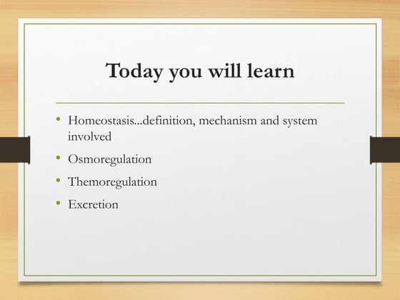 Powerpoint homeostasis | PPT