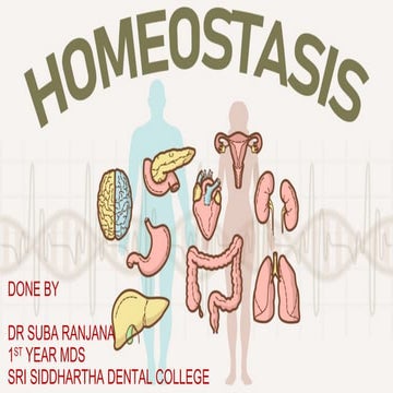 Homeostasis | PPT | Biological Sciences | Science