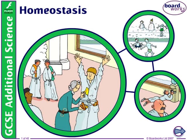 Powerpoint homeostasis | PPT