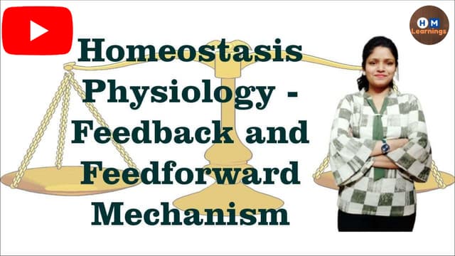 Feedback Regulation Loop (Feedback Mechanism): Positive and Negative ...