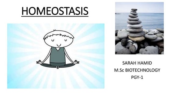 Homeostasis & Control Mechanisms of The Body | PPT