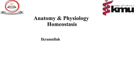 Homeostasis | PPT | Biological Sciences | Science