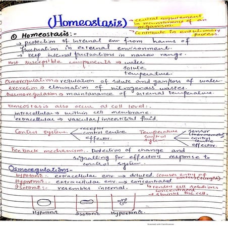 Homeostasis.pdf