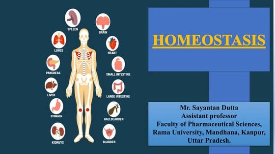 Physiology and Homeostasis | PPTX