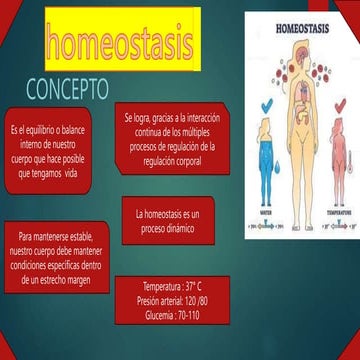 homeostasis.pptx. Enfermería técnica periodo 1 | PPTX