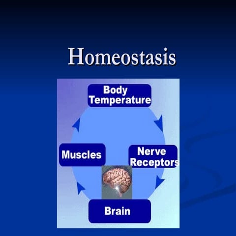 Powerpoint homeostasis | PPT