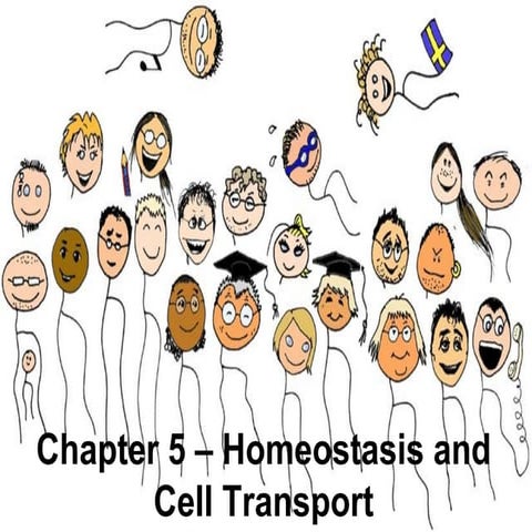 Homeostasis and cell transport academy | PPT | Gardening | Home & Garden