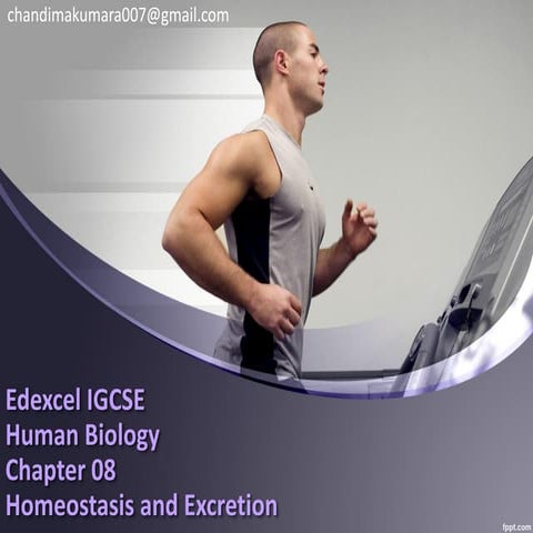 Edexcel IGCSE - Human Biology - Chapter 08 - Homeostasis and Excretion ...