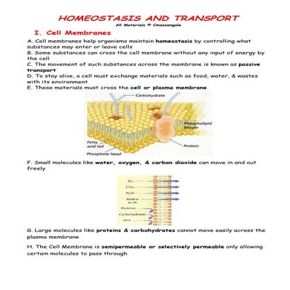 Homeostasis and transport | RTF