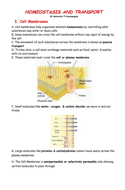 Membrane Transport.pdf