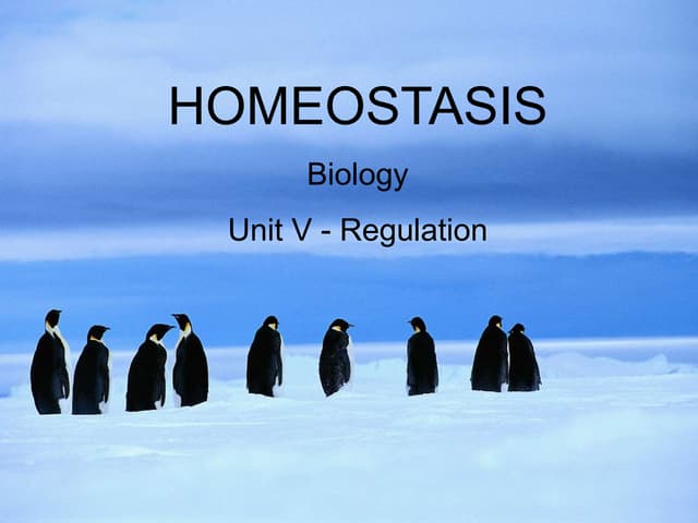 Homeostasis | PPT