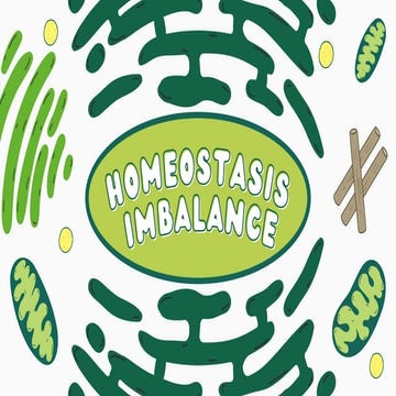 Lesson 2 Homeostasis: Homeostasis Imbalance | PPT