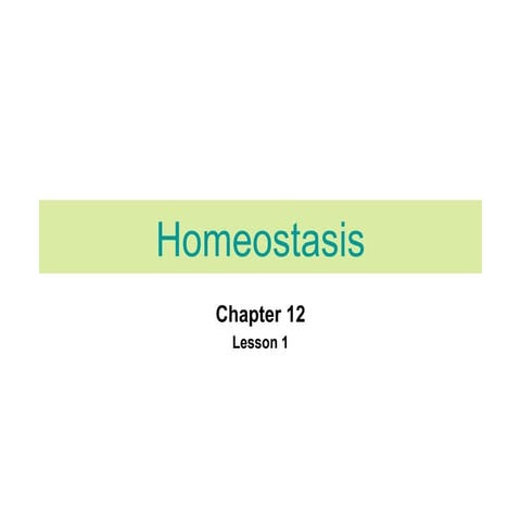 Chapter 12 Homeostasis Lesson 1 - The Need for Homeostasis | PPT