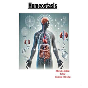 Homeostasis I Negative and Positive Feedback Mechanism I Feedforward ...