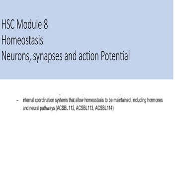 Homeostasis Neurons, synapses and action potentials.pptx