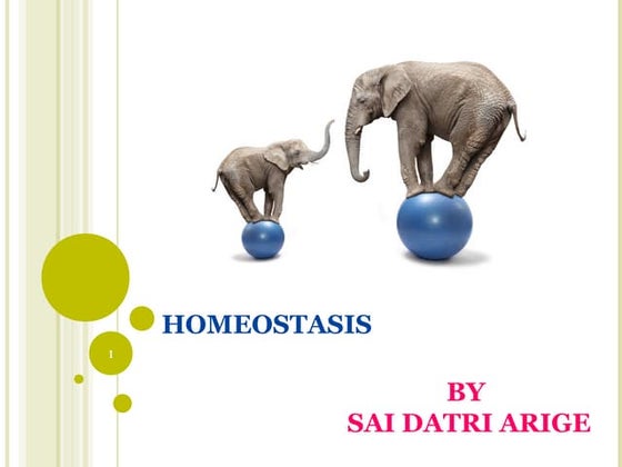 Powerpoint homeostasis | PPT