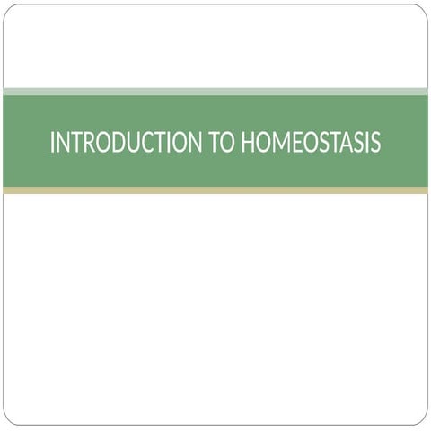 Homeostasis PPT humana anatomy and physiology | PPT