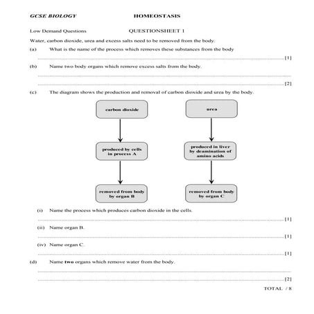 homeostasis questions.doc