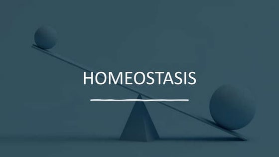 Physiology and Homeostasis | PPT
