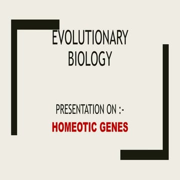 HOMEOTIC GENES.pptx