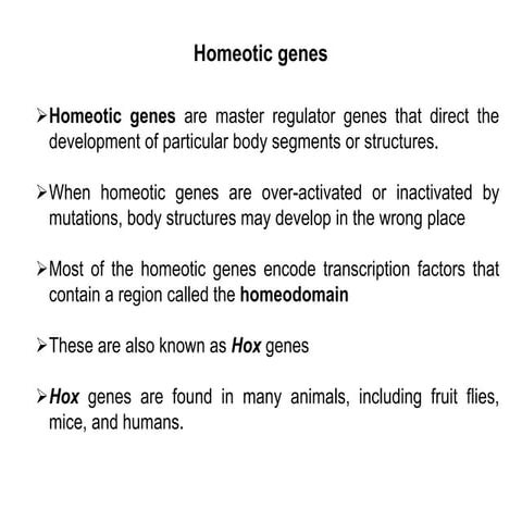 Homeotic Genes and their functions in Drosophila.pptx