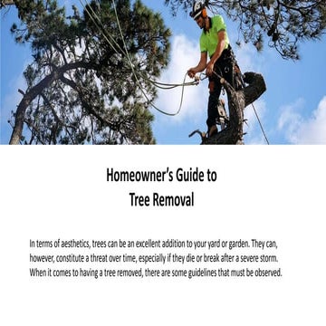 Essential Guide to Tree Removal: What Every Homeowner Should Know | PDF