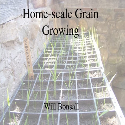 Home scale grain growing | PPT