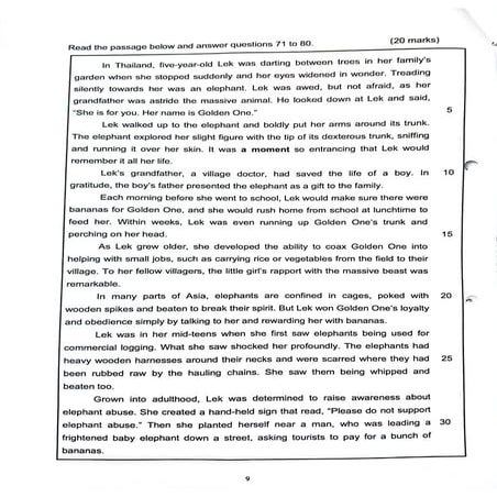 Home Work for Singapore primary 5 reading | PDF