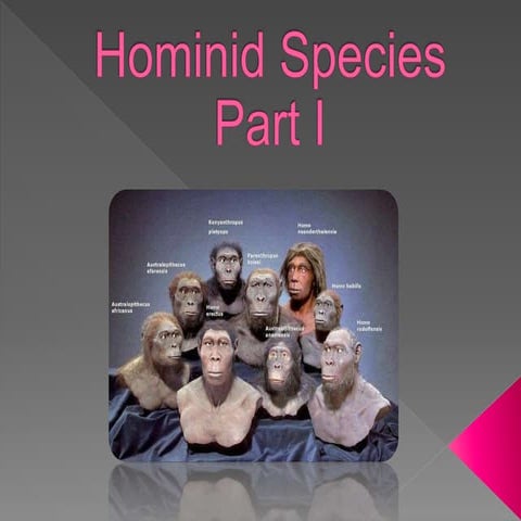 Hominid species1 | PPTX | Large Animals | Pets