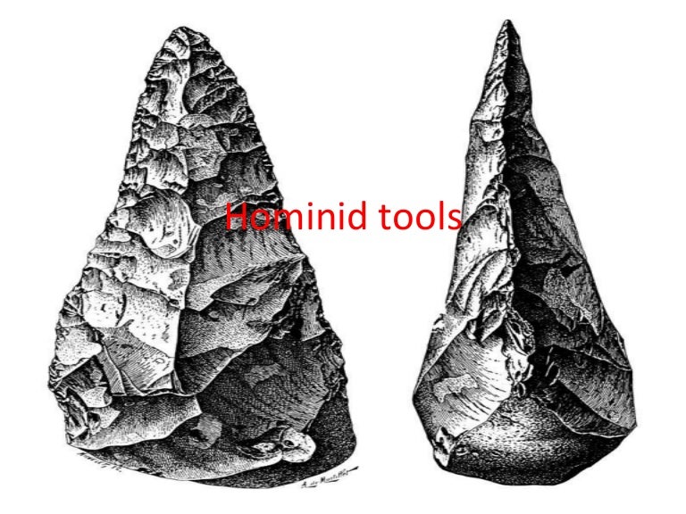 Hominid tools