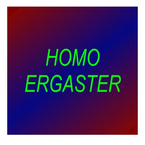 Homo ergaster | ODP