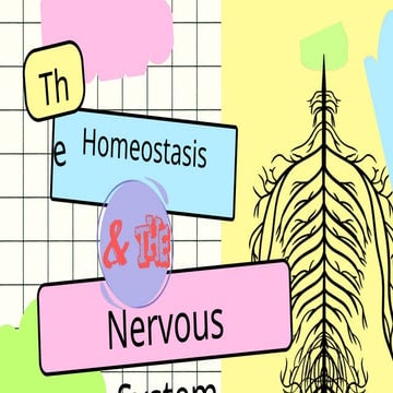 Quarter 3 HOMOESTASIS AND NS -SCIENCE 1O.pptx