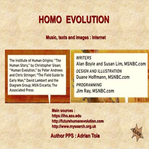 Homo evolution | PPT