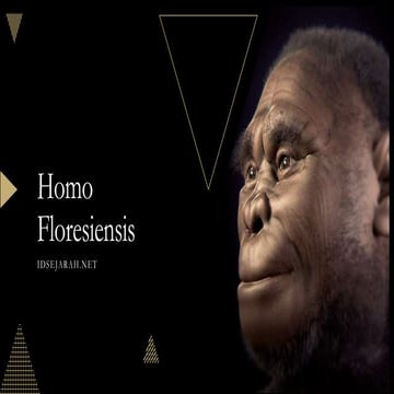 Homo Floresiensis.pptx
