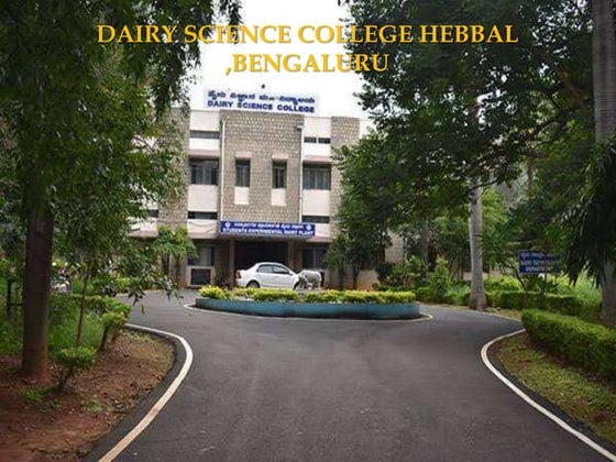 Cream Separation.pptx