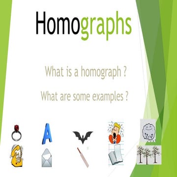 Homographs.pptx