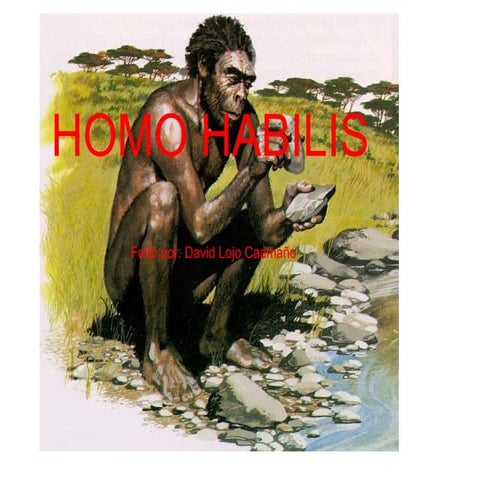 Homo Habilis 1 | PPT