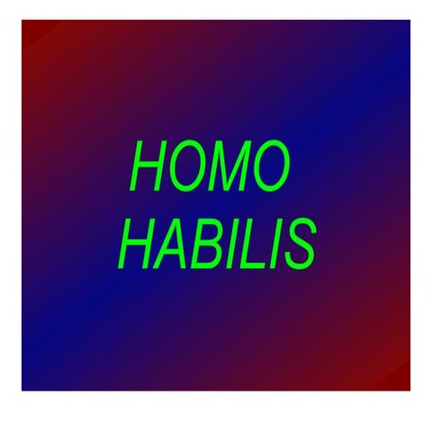 Homo Habilis 1 | PPT