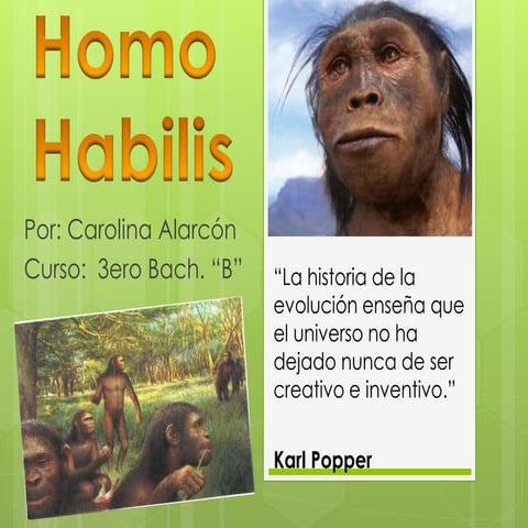 Homo habilis | PPTX