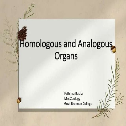 Homologous Organs And Analogous Organs Ppt