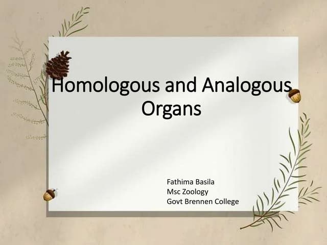 Homologous Organs And Analogous Organs Ppt