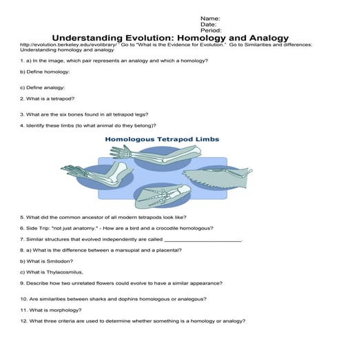 Homology and Analogy webquest | DOC