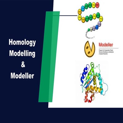 Homology modeling | PDF