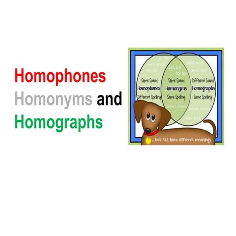 homonyms.ppt