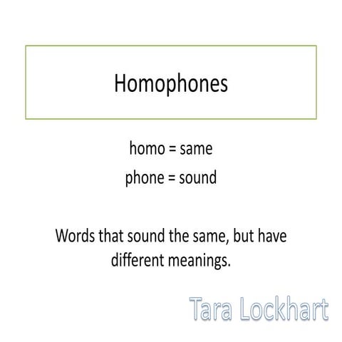 Synonym and Antonym PowerPoint | PPTX