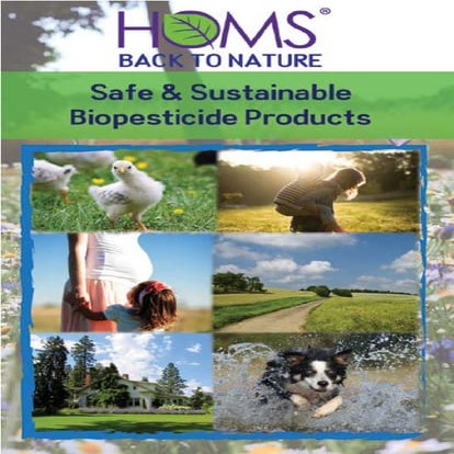 Insect-repellent-factsheet | PDF